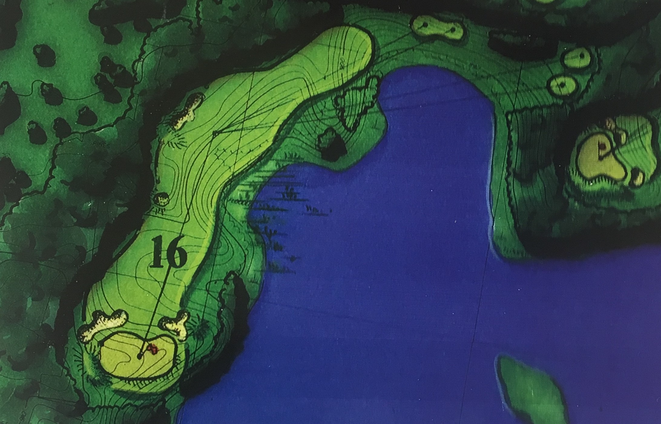 Hog Heaven - Jerry Matthews - American Society of Golf Course Architects